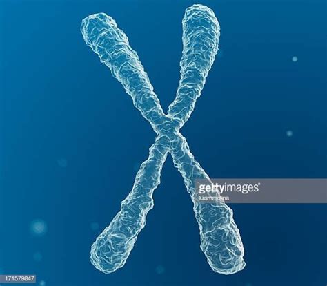 lab exam exercise 4 diagram quizlet