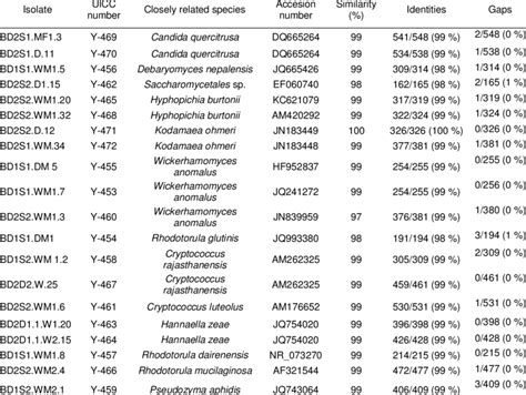 Identification Of Yeast Isolates From Dago Pojok Village West Java Download Table