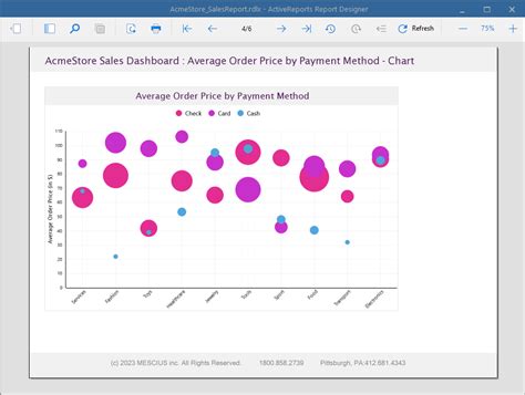 Quick Start Activereports 19 Net Edition