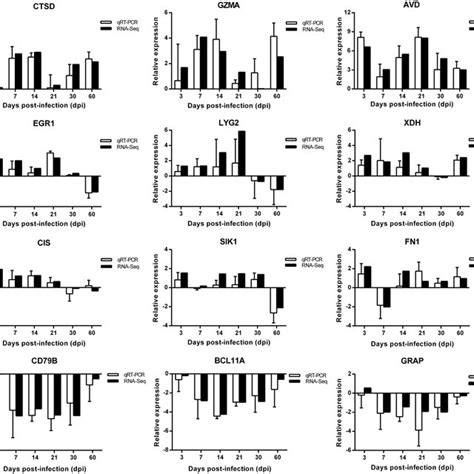 Validation Of Differentially Expressed Genes By Qrt Pcr The Results Of Download Scientific