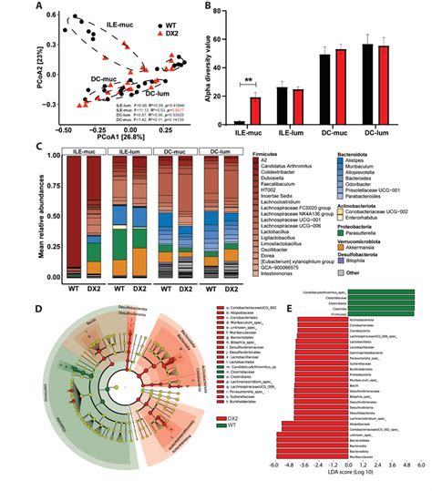 Ablation Of Epithelial Duox2 Shapes The Mucosal Microbiome Paired Download Scientific Diagram