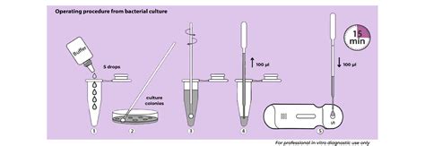 Vet Esbl Test Esbl Resistance Detection