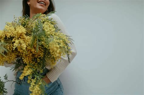 Mimosa Flower Meaning Joyful Symbols For Thoughtful Ts The Daily