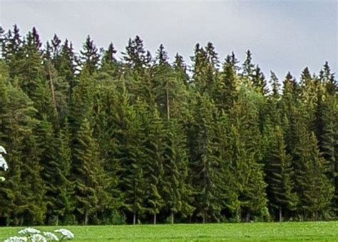 Купить земельный участок под ИЖС в Екатеринбурге продажа земли от собственника Земля 96