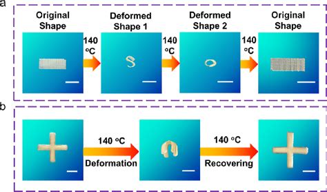 A Diw Printed Mesh Demonstrating The Multiple Deformation And Shape