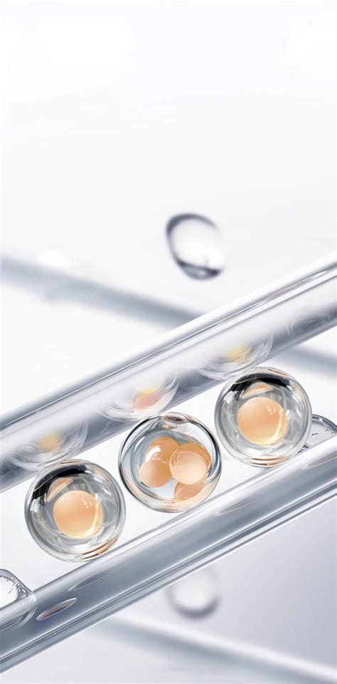 细胞分子结构 13 花瓣网