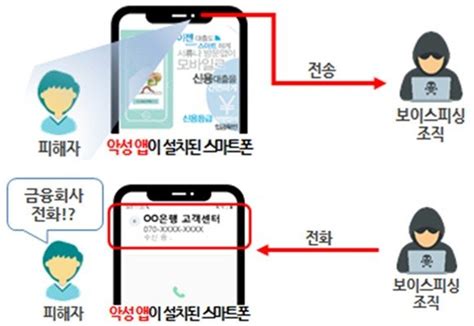 금융보안원 보이스피싱 조직 프로파일링 보고서 발간 네이트 뉴스
