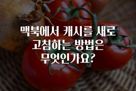 유용한정보 맥북에서 캐시를 새로 고침하는 방법은 무엇인가요 알아봤어요