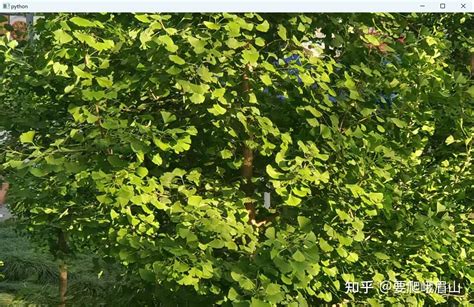 Qt（python的pyside）学习 知乎