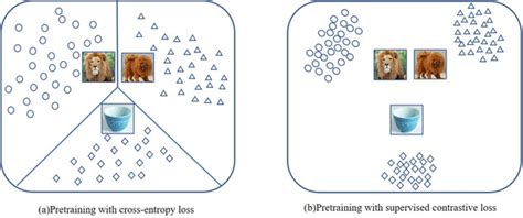 cross‐entropy ce loss versus supervised contrastive sc loss a