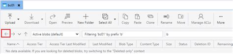 The Back Button Is Not Enabled When Typing A String Into The Filter By