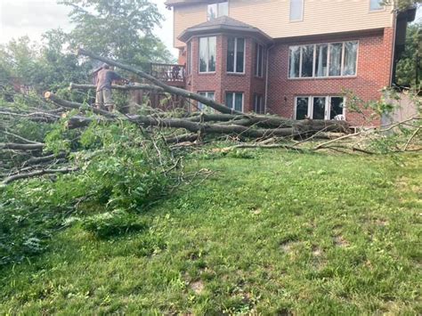 Jones Tree Service LLC Top Rated Tree Service Jamestown Indiana