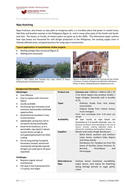 Key Messages Nipa V1 1 Pdf Landscaping Home Garden