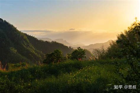 索尼2070，适马2470，腾龙2875g2怎么选择？ 知乎