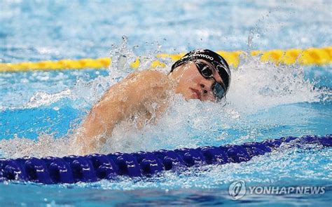 한국 수영 벌써 메달 9개째 역대 최고 성적 기대 모락모락 [항저우 Ag] 파이낸셜뉴스