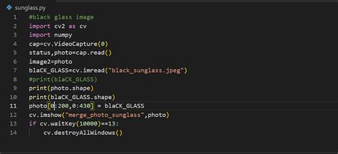 Take A Sunglass Photo And Attach It To Another Photo Of Your Choice