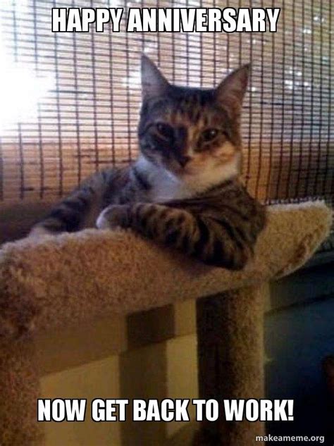 Happy Anniversary Now Get Back To Work The Most Interesting Cat In