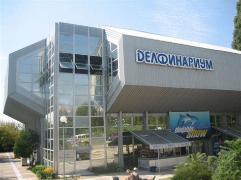 Делфинариум Варна Опознай Bg