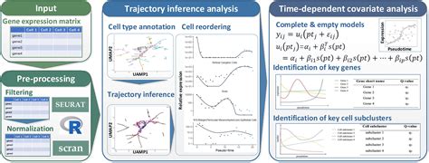 Identify Differential Genes And Cell Subclusters From Time Series Scrna