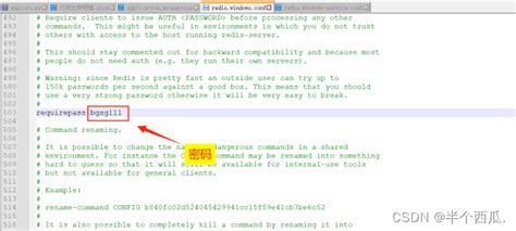 python 渗透测试：redis 数据库 弱密码测试 （6379端口） csdn博客