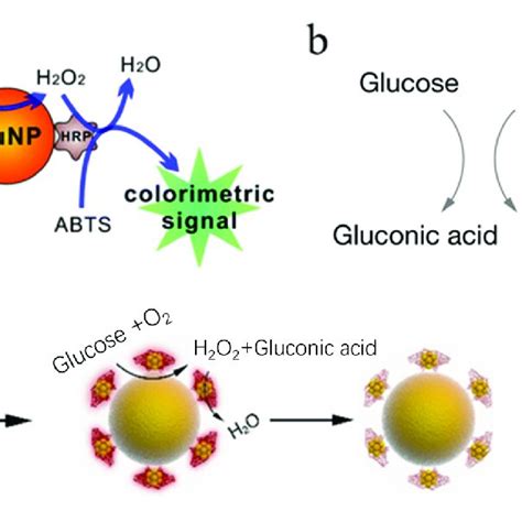 God−mimicking Nanomaterials For Glucose Detection A Schematic