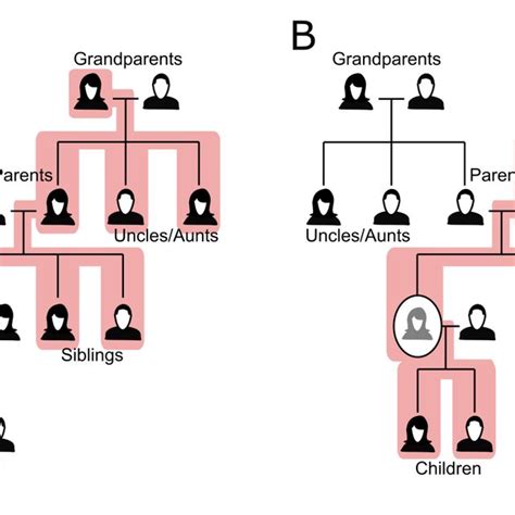 Example Electropherogram Of An Experiment To Generate A Dna Profile Download Scientific