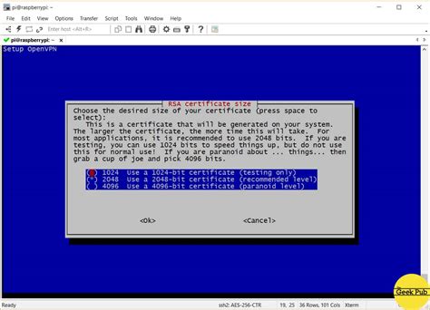 setup a raspberry pi vpn server the geek pub