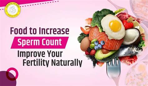 Food To Increase Sperm Count Boost Fertility Naturally
