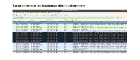 Solved Investigate TCP Flow Control In This Programming Chegg