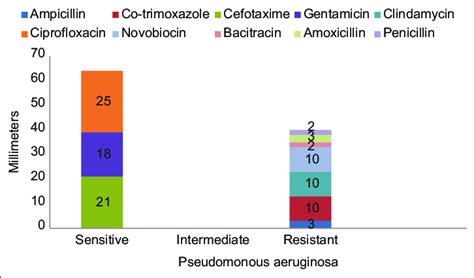 Antibiotic Susceptibility Of Pseudomonas Aeruginosa Download Scientific Diagram
