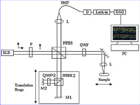 Polarization Sensitive Optical Coherence Tomography Psoct Setup Used Download Scientific