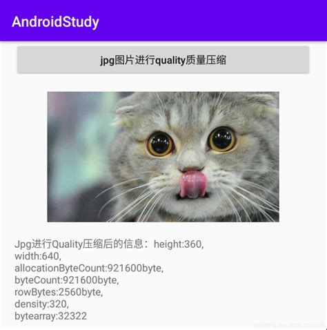 性能优化：android中bitmap内存大小优化的几种常见方式android Bitmap内存优化 Csdn博客