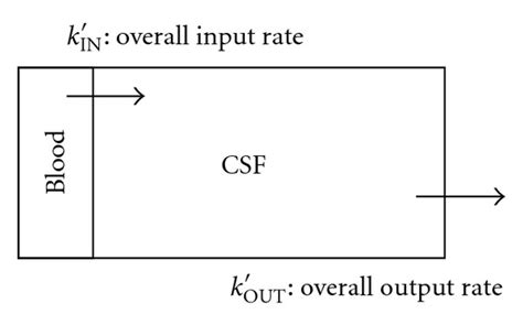 Physiological Compartmentalization Of A CSF Voxel Download Scientific Diagram