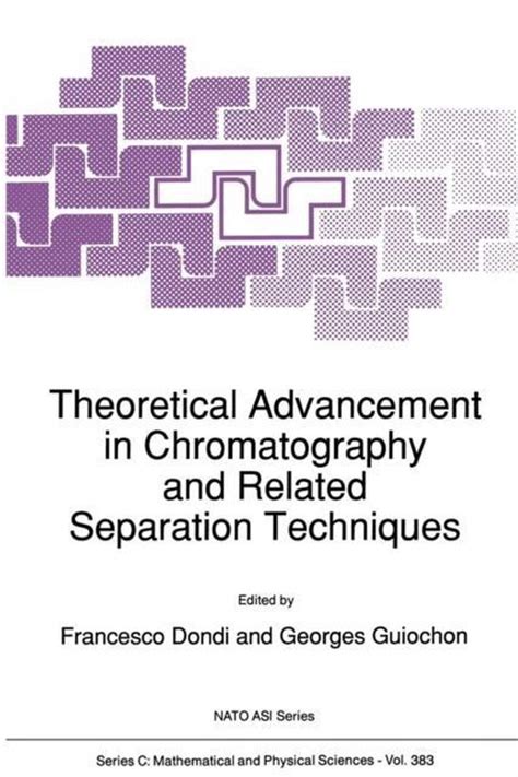 nato science series c theoretical advancement in chromatography and
