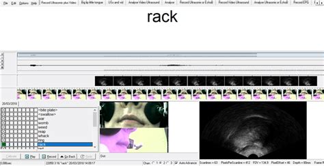 Example Screen Display During Recording Sessions Although The Download Scientific Diagram