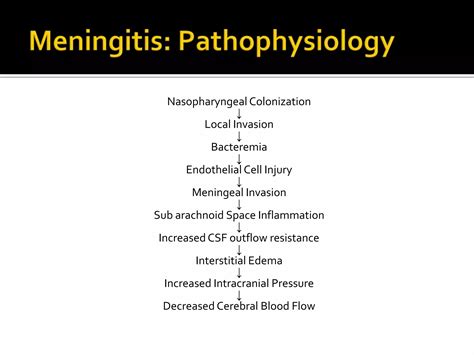 Meningitis And Encephalitis Pptx