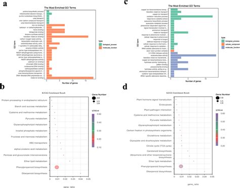 The Unigene Functional Enrichment Result Of Screened Degs A The Go