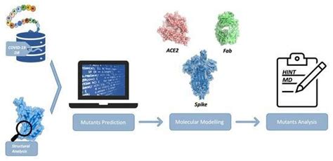 Federica Agosta On Linkedin A Computational Workflow To Predict