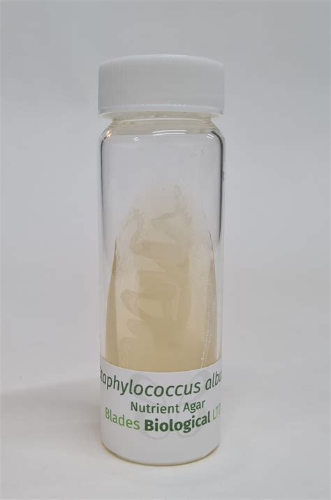Staphylococcus Epidermidis Lzb 075 Blades Biological Ltd Kent