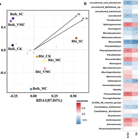 Redundancy Analysis Rda And Correlation Of Bacterial Community