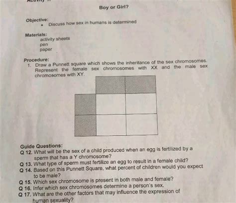 Babe Or Girl Objective Discuss How Sex In StudyX