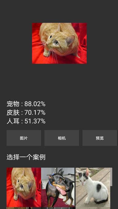 【hadoop高级应用课设】基于mindspore框架端边云全流程开发一个人工智能 识别猫狗应用