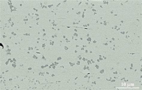 Micrograph Showing The Microstructure Of The Flame Sprayed Coatings
