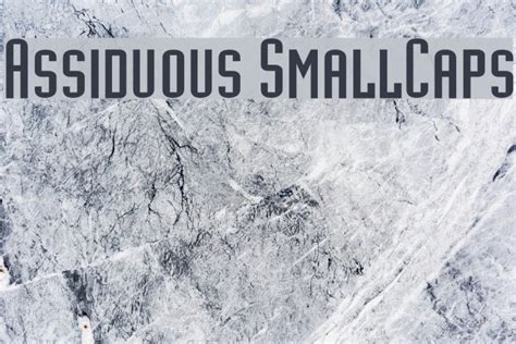 Assiduous Smallcaps Font