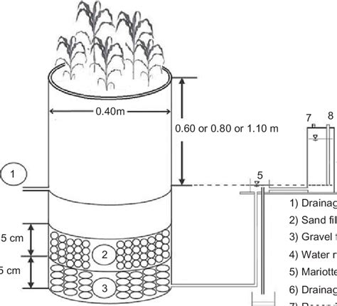 Scheme Of Lysimeter Download Scientific Diagram