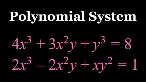A Cubic Polynomial System Youtube