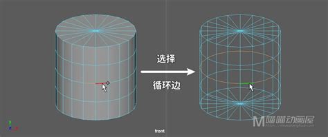 Maya中如何选择循环边（select Edge Loop）？ 喵喵动画屋