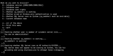 sqlninja a sql server injection and takeover tool