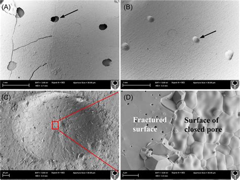 Sem Micrographs Showing The Electrodeelectrolyte Interface