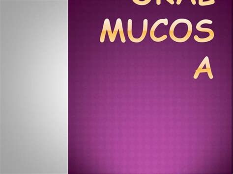 Handout Of Oral Mucosa Histology Pdf